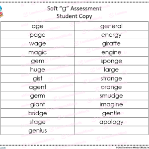 Reading Comprehension Worksheets - Let’s Learn About the Hard and Soft ...